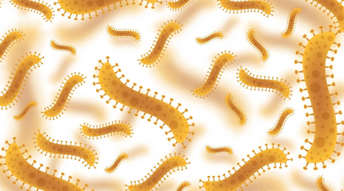 ¿Qué es el parasitismo y cómo protegernos? | Ecoceutics